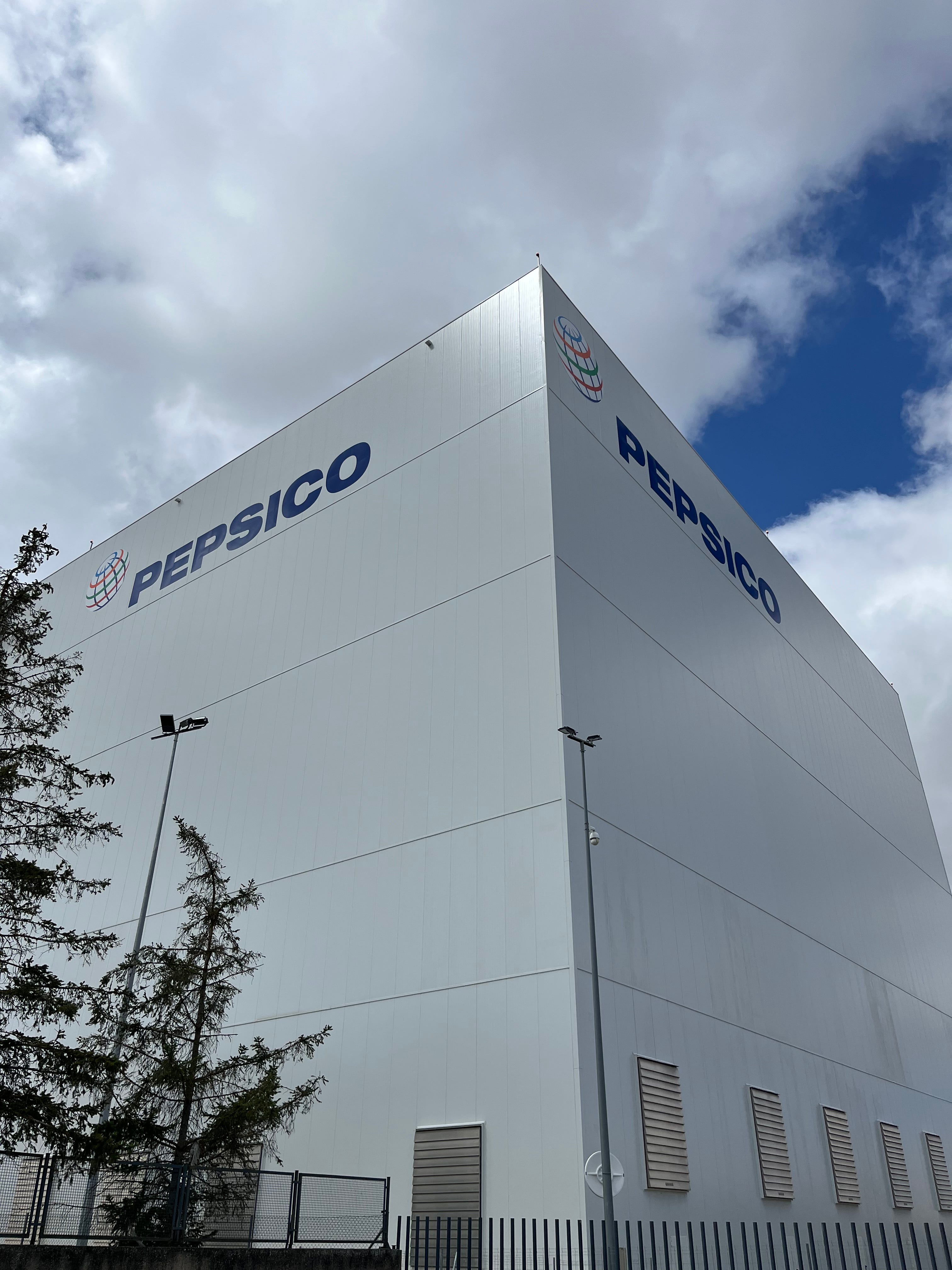 Camino Mind - by Peeka Trenkle - Peeka’s Substack