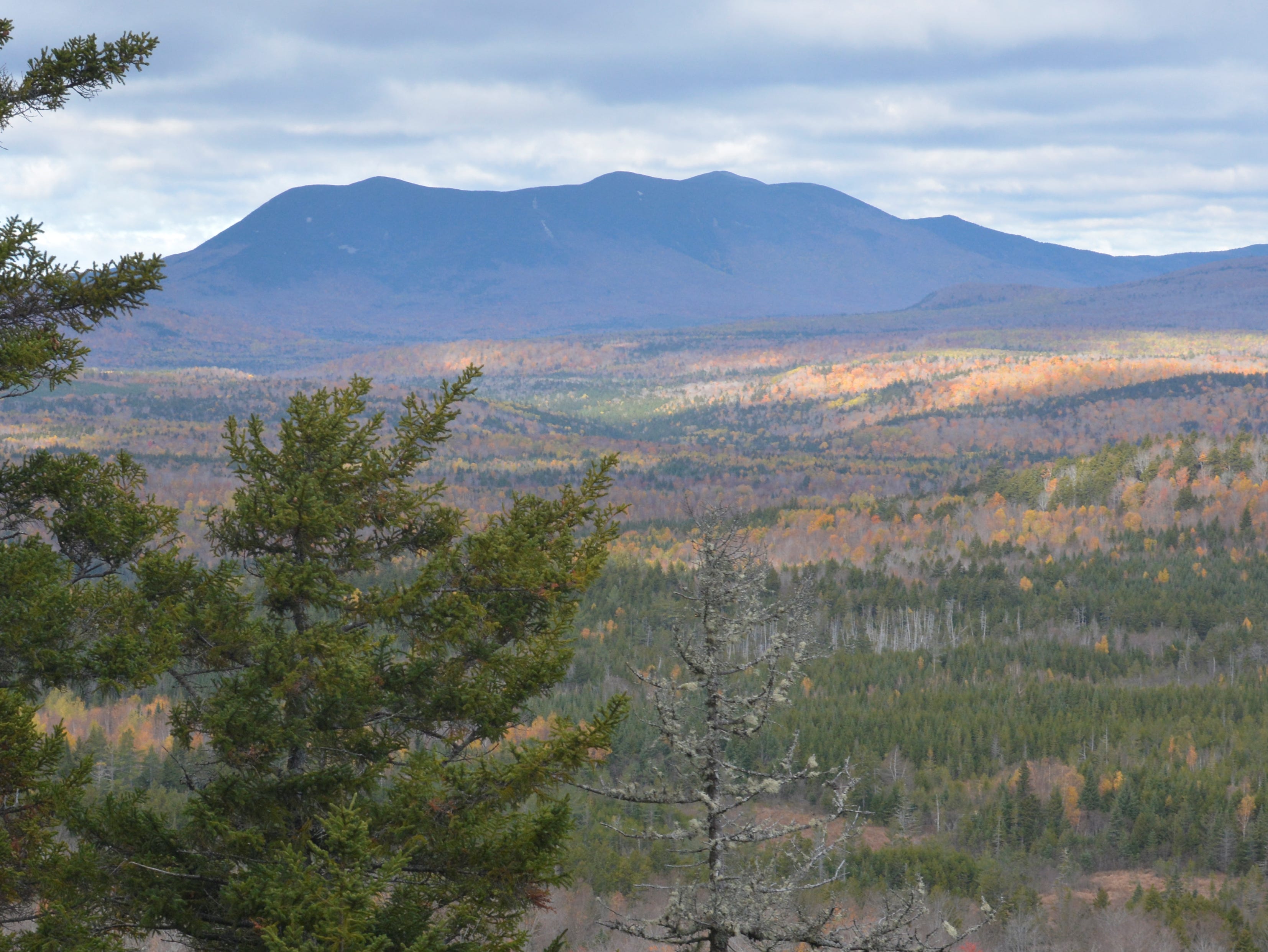 Stomp Bigfoot is in the lab... - by Jonathan Delp