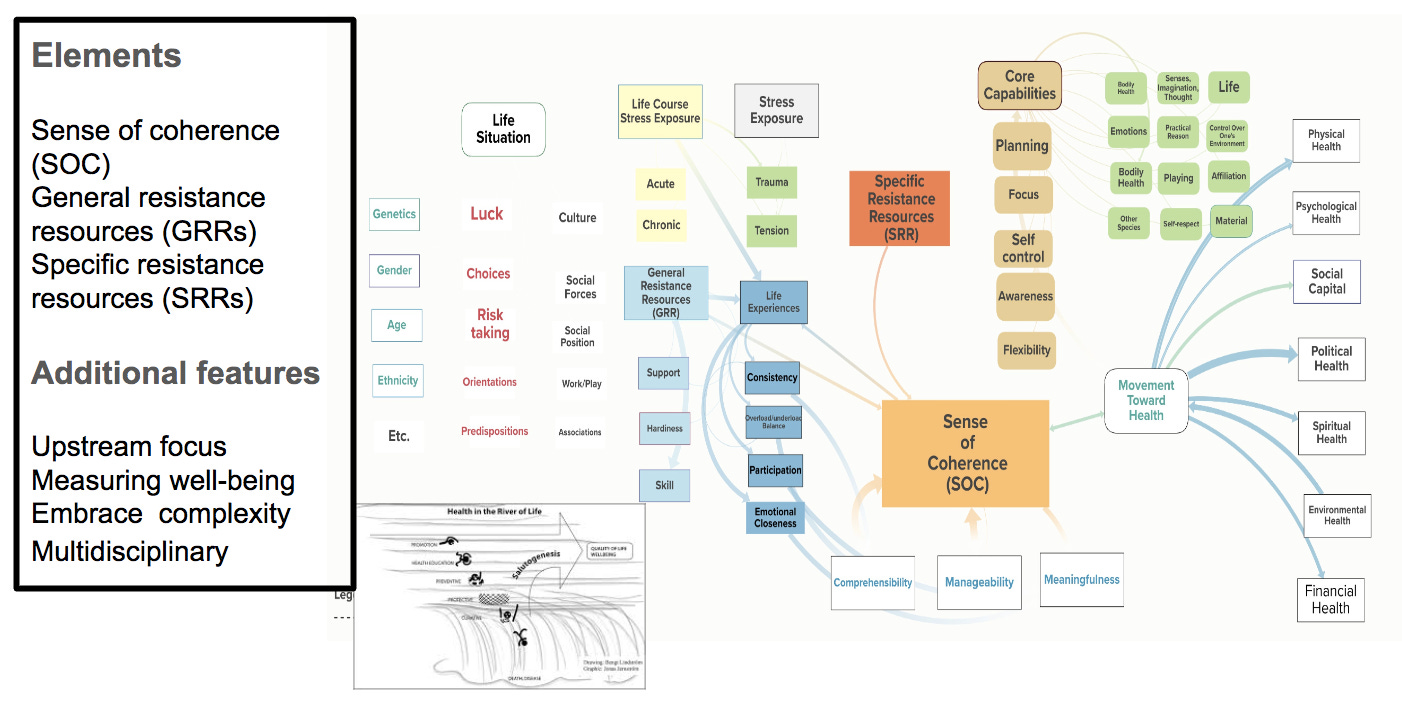 The Salutogenic Paradigm - by Shimon Waldfogel