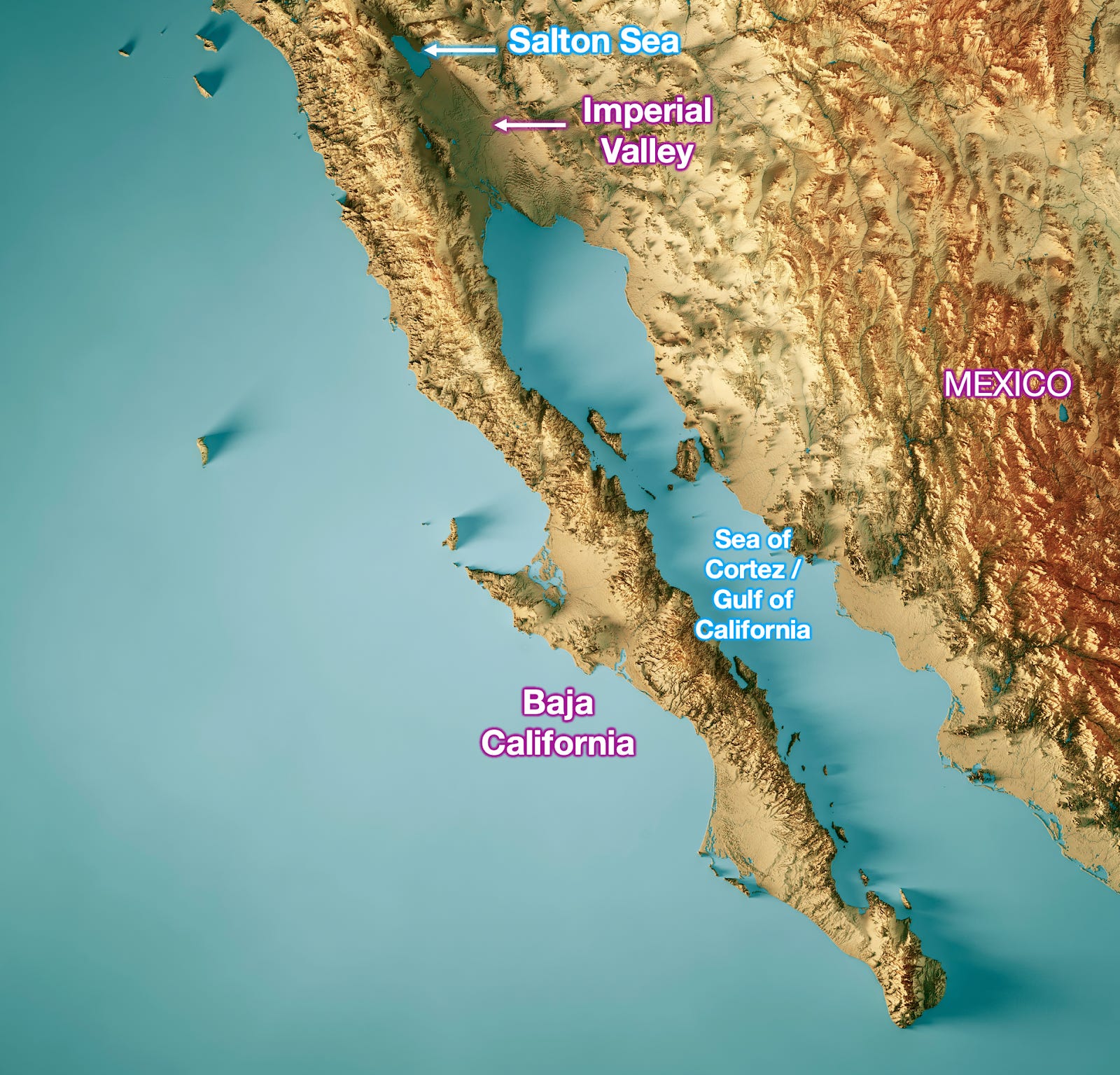 🌏 Seaflooding: Past Experience and Future Plans