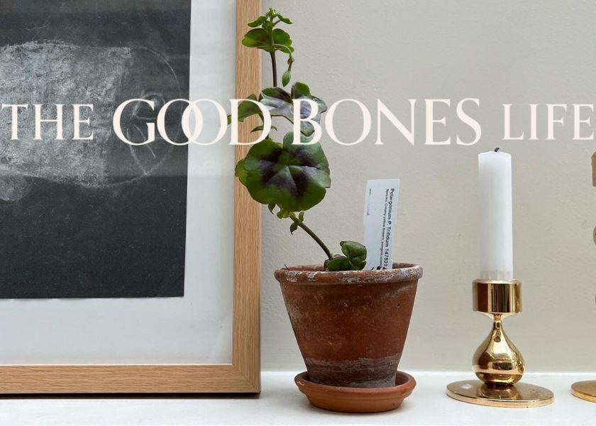 A Guide to Plant Pots - by Leanne Kilroy