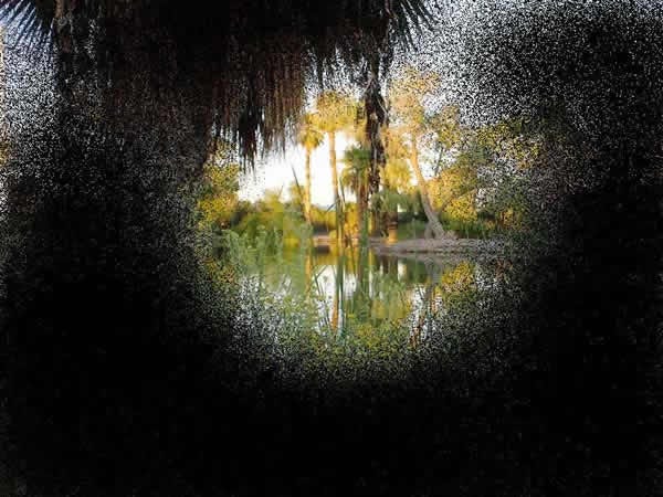 What's it like to slowly go blind?