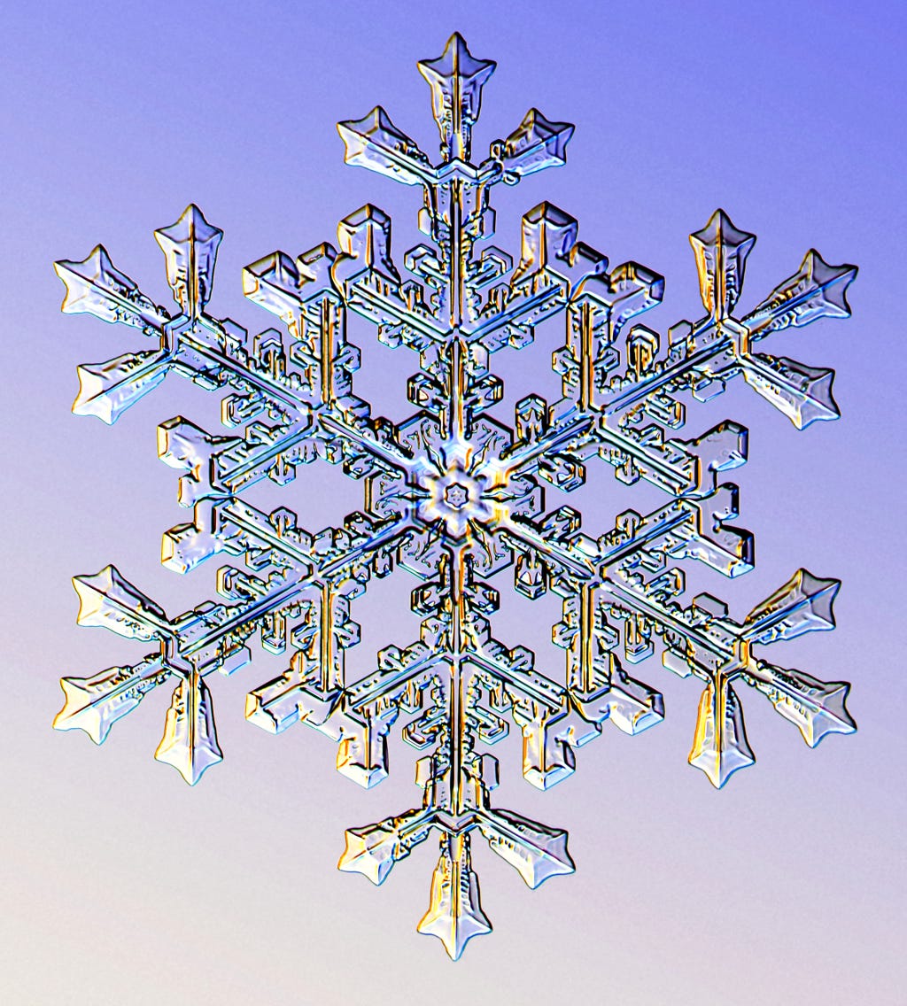 How do snowflakes form? Are they really unique?