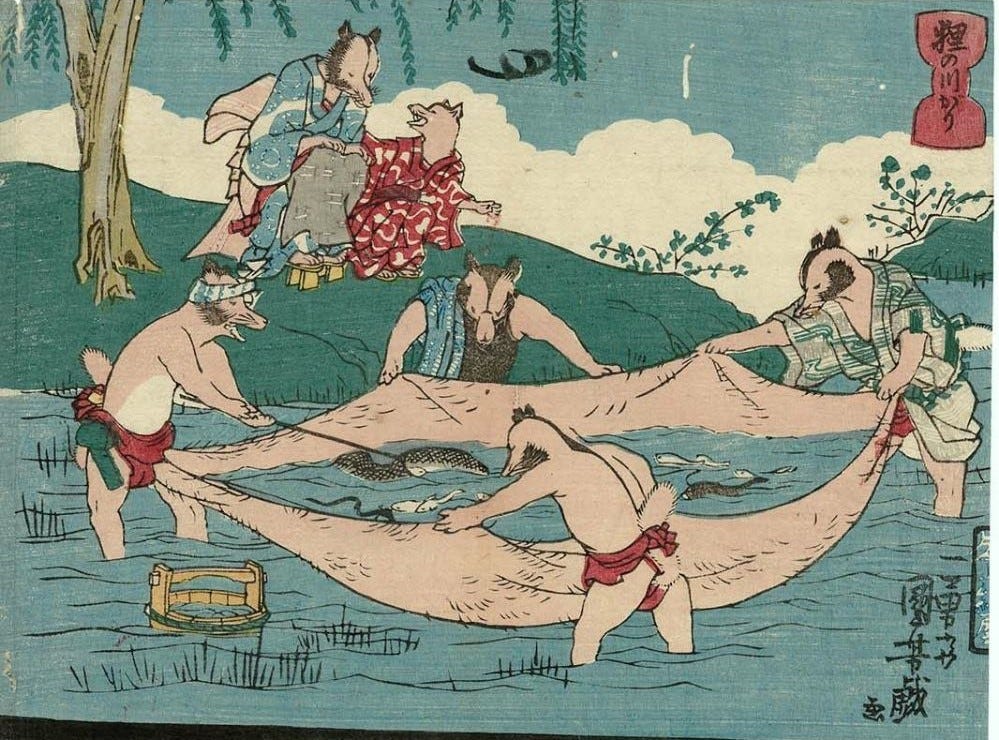 Tanuki - Hanashi by Curious Ordinary