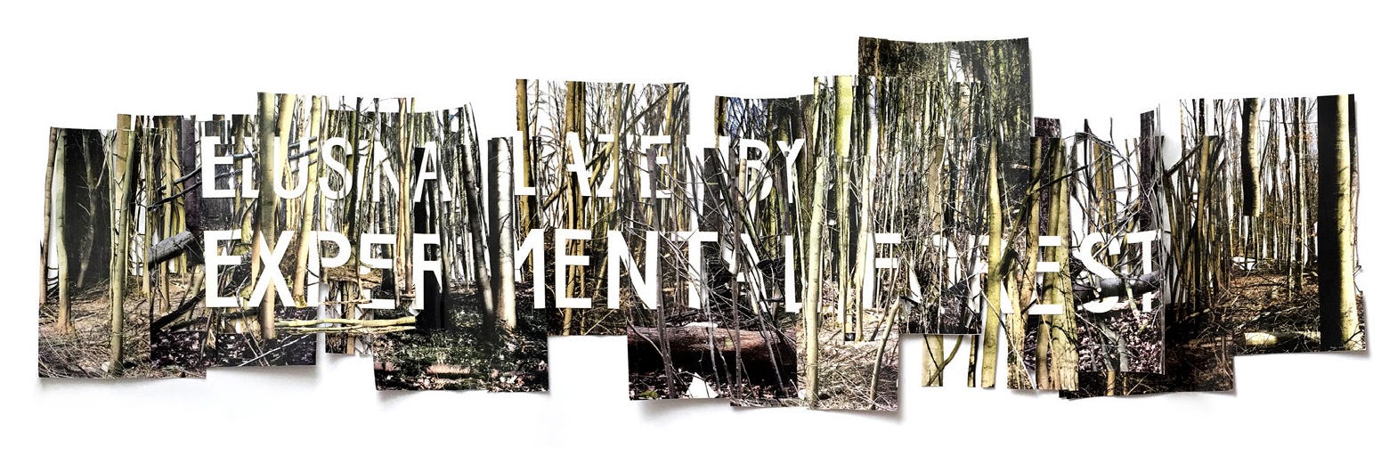 The Elusina Lazenby Experimental Forest - by Saruder