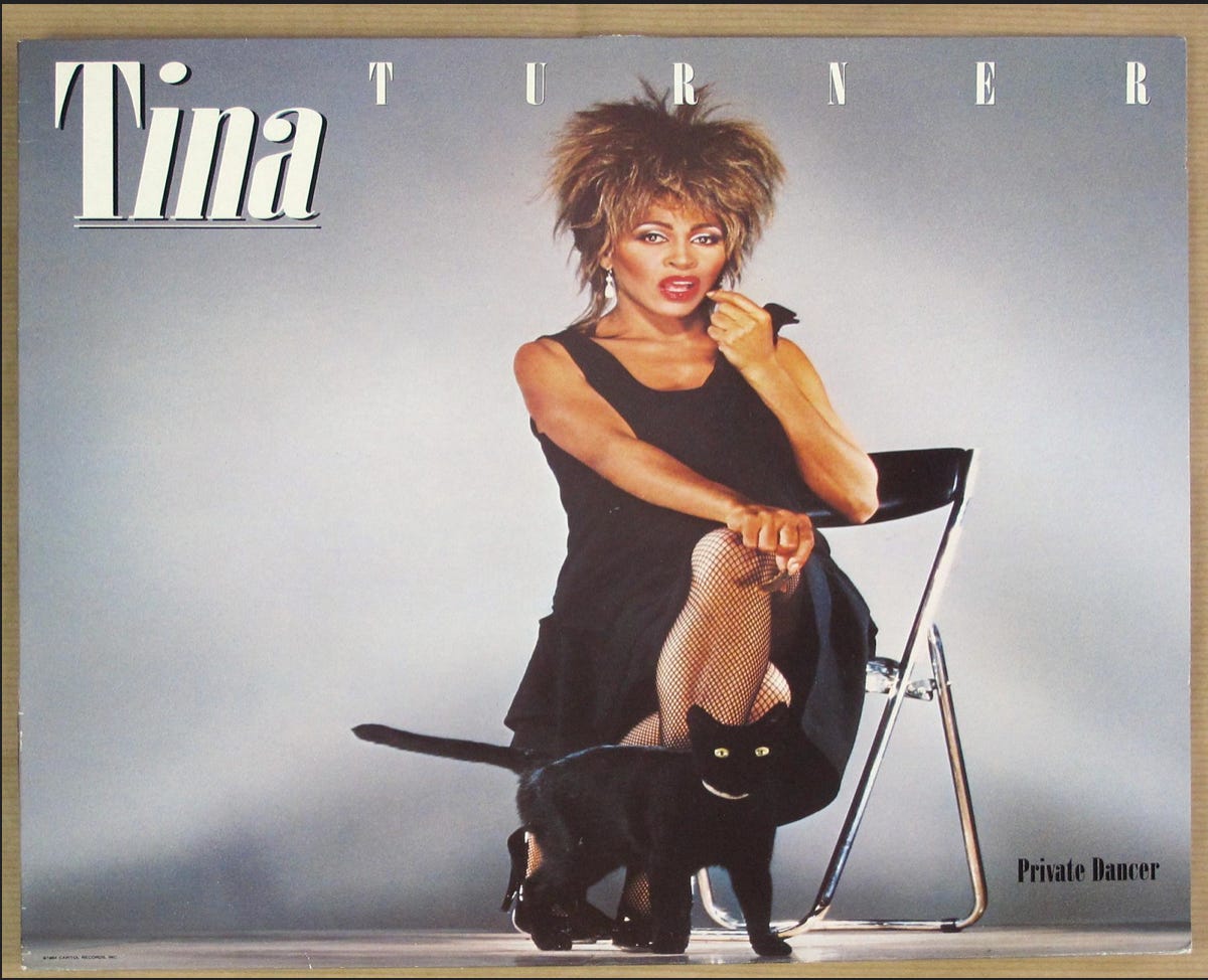 Tina Turner - The Good in Us by Mary L. Trump