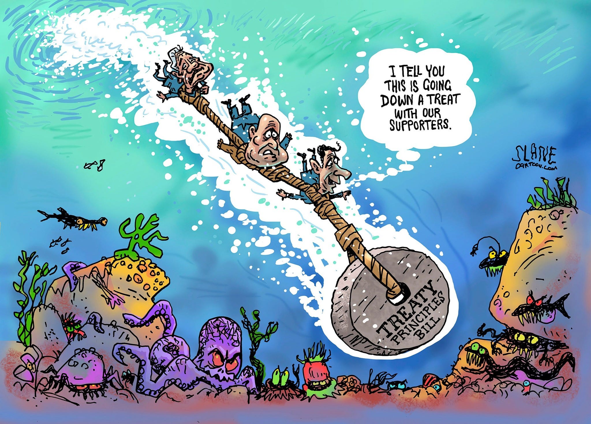 Treaty Principles Bill - have you submitted yet?