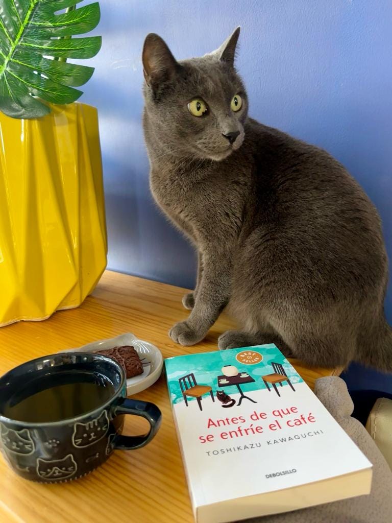 Nuevos espacios para compartir libros este año 👨🏻‍🏫📝📚