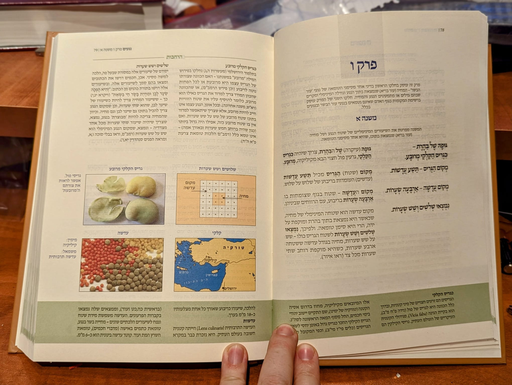 The Ultimate Mishnah - by Natan Slifkin