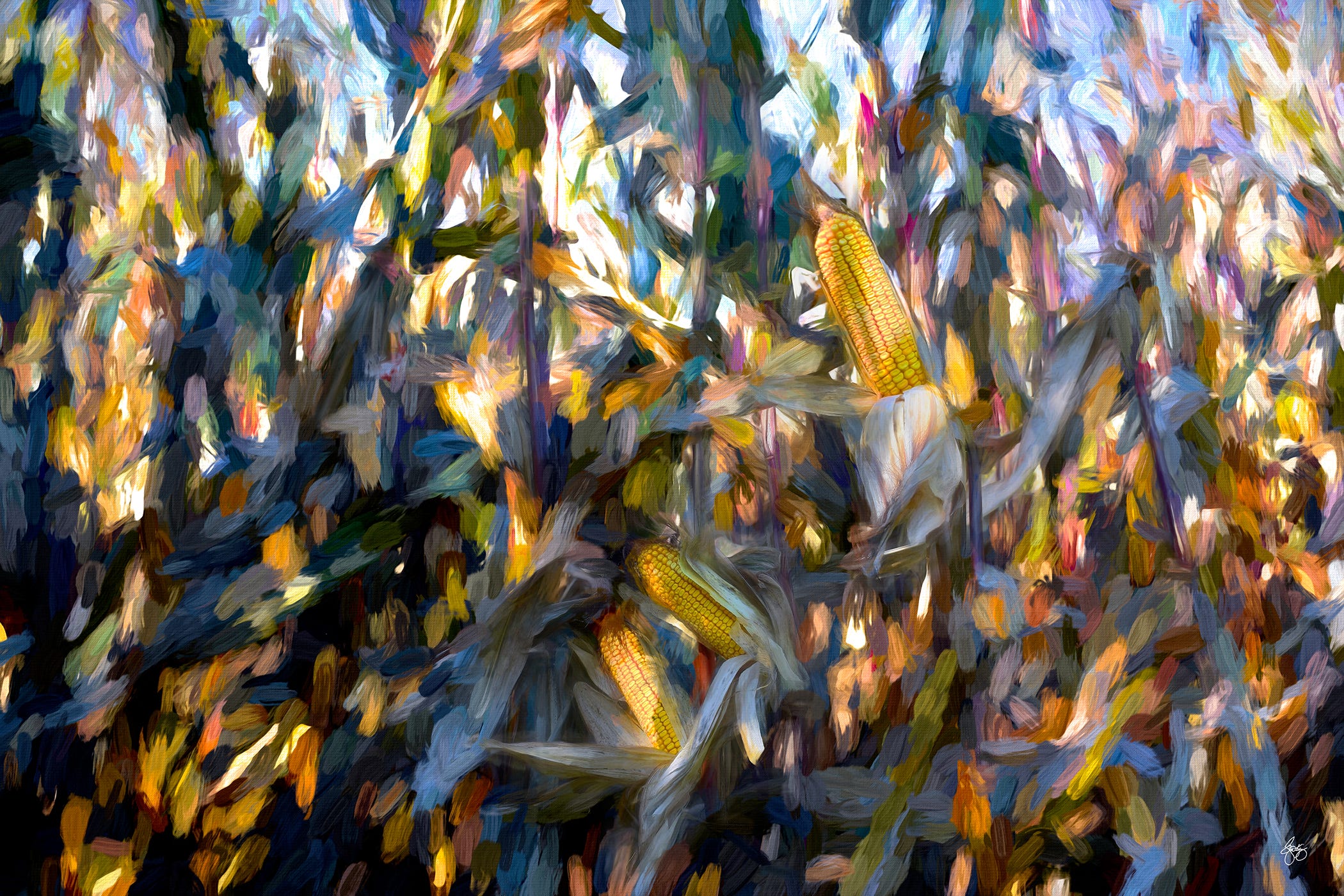 New Images - by Wayne King - Anamaki Chronicles