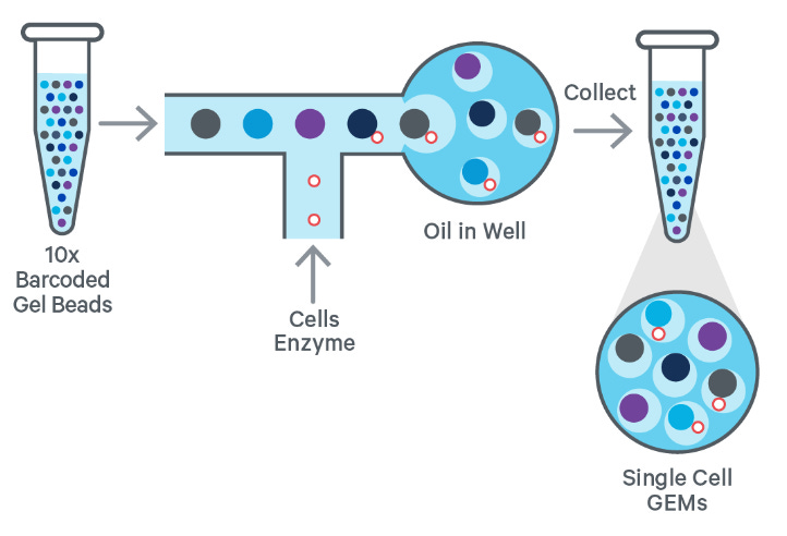 The 10X Chromium Controller Pneumatic System