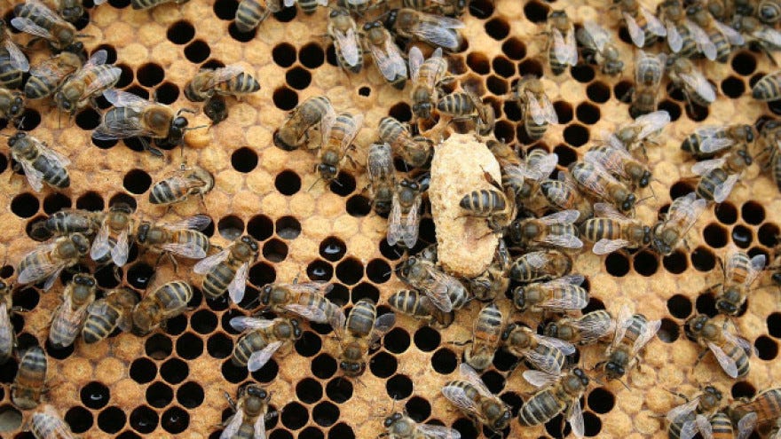 KOD VREMENA - by Slobodan Simovic - MPN MAGAZIN