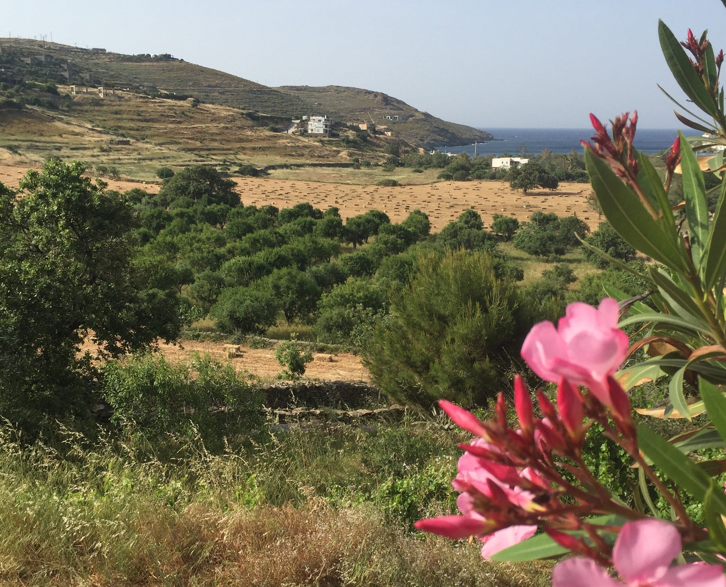 Scenes from our island - by Aglaia KREMEZI