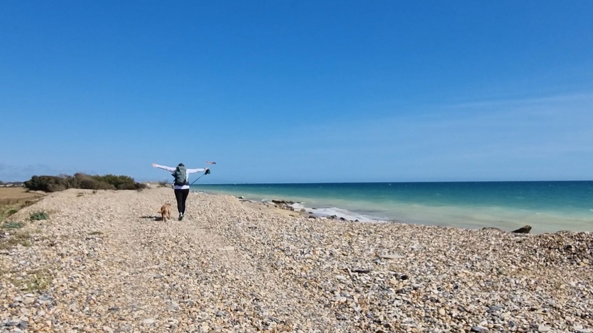 Relinquishing shame - by Charlie Rewilding - REWILD