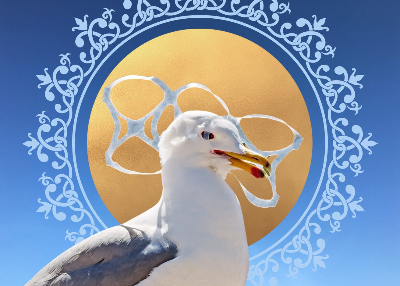 Seagull - by Wietske Merison - Gift from the Heavens