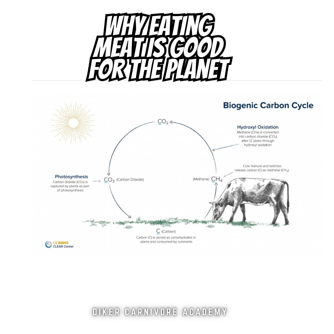 Why Eating Meat is Good for The Environment: Follow the Real Science