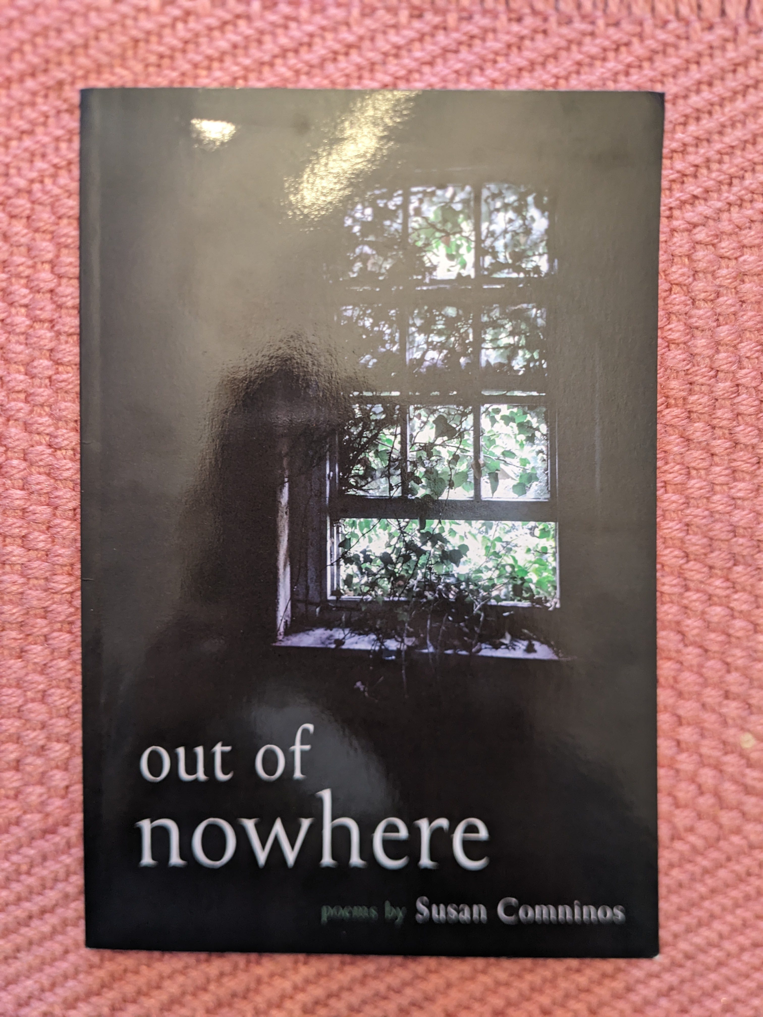 Poems for a New Beginning - by Aviya Kushner