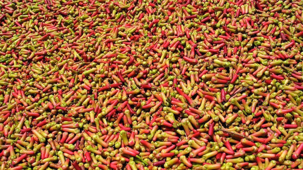 Gianna Palmaro | Substack