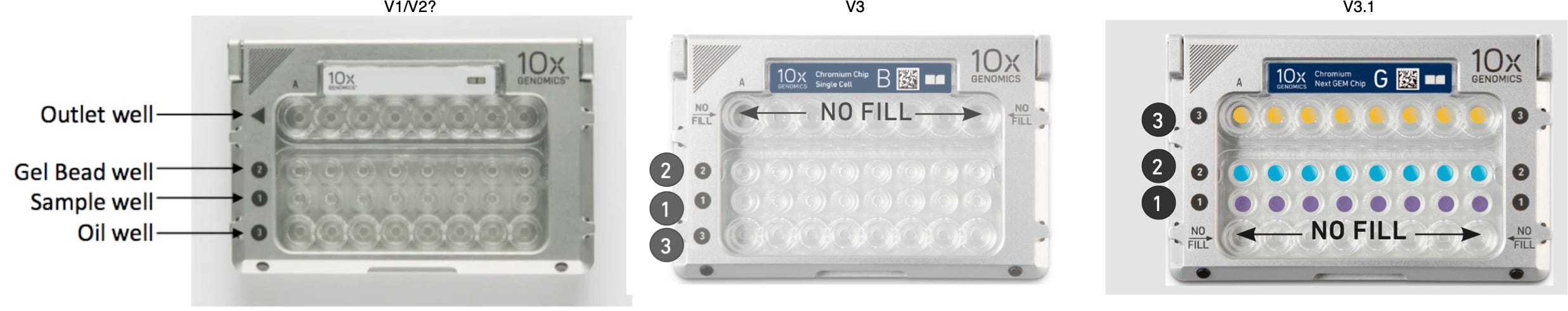10X Chromium Chip Patents - by Nava Whiteford