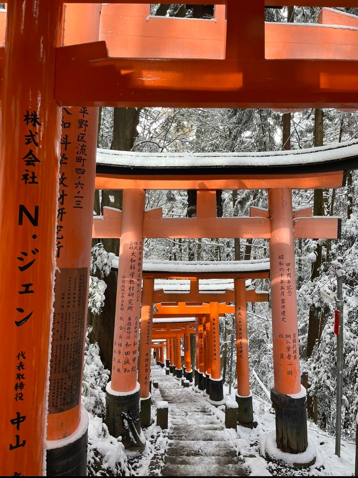 Japan - by Ryan McLaughlin - Ryan’s Substack