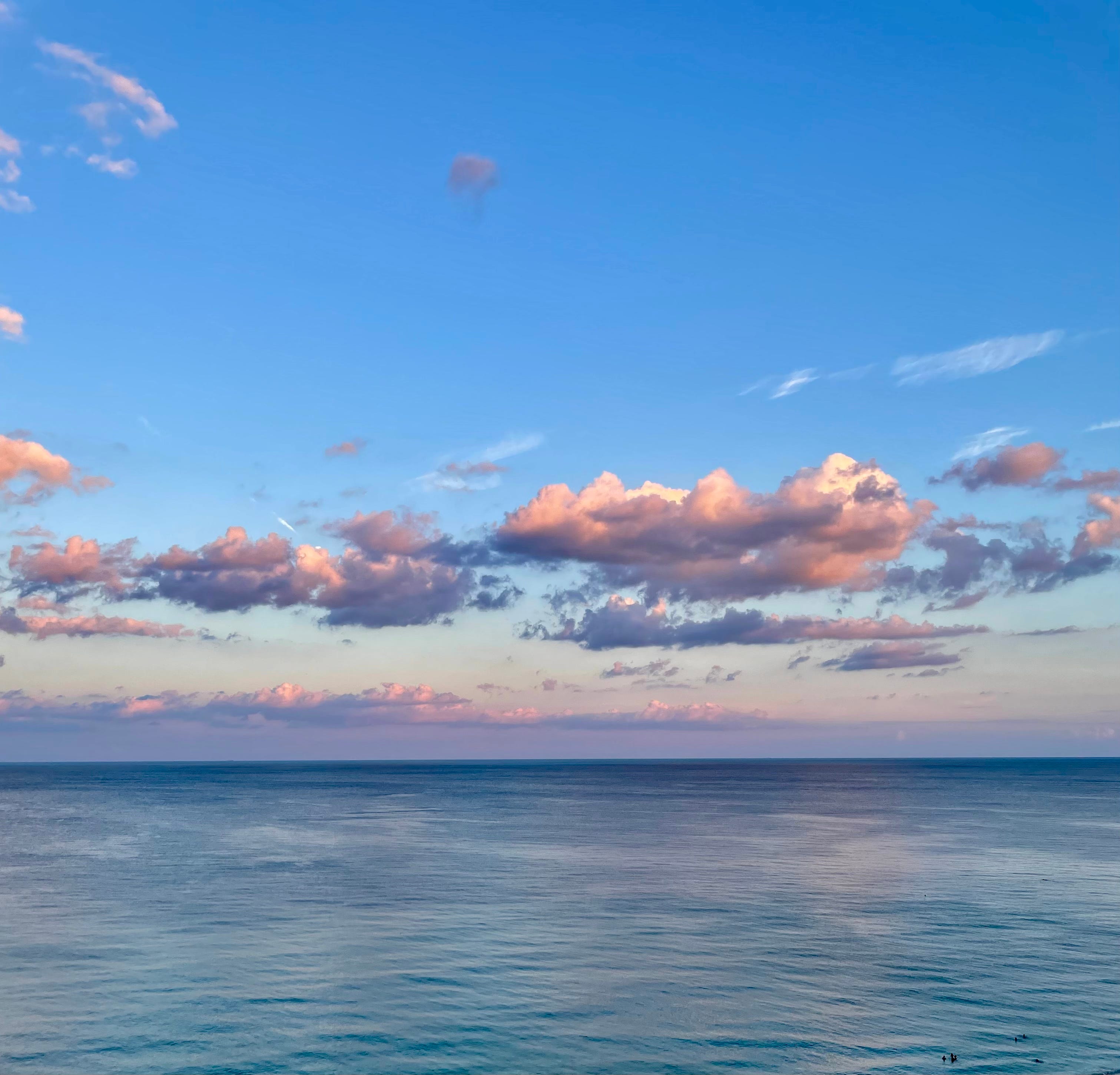 News | Jordyn Shellhart