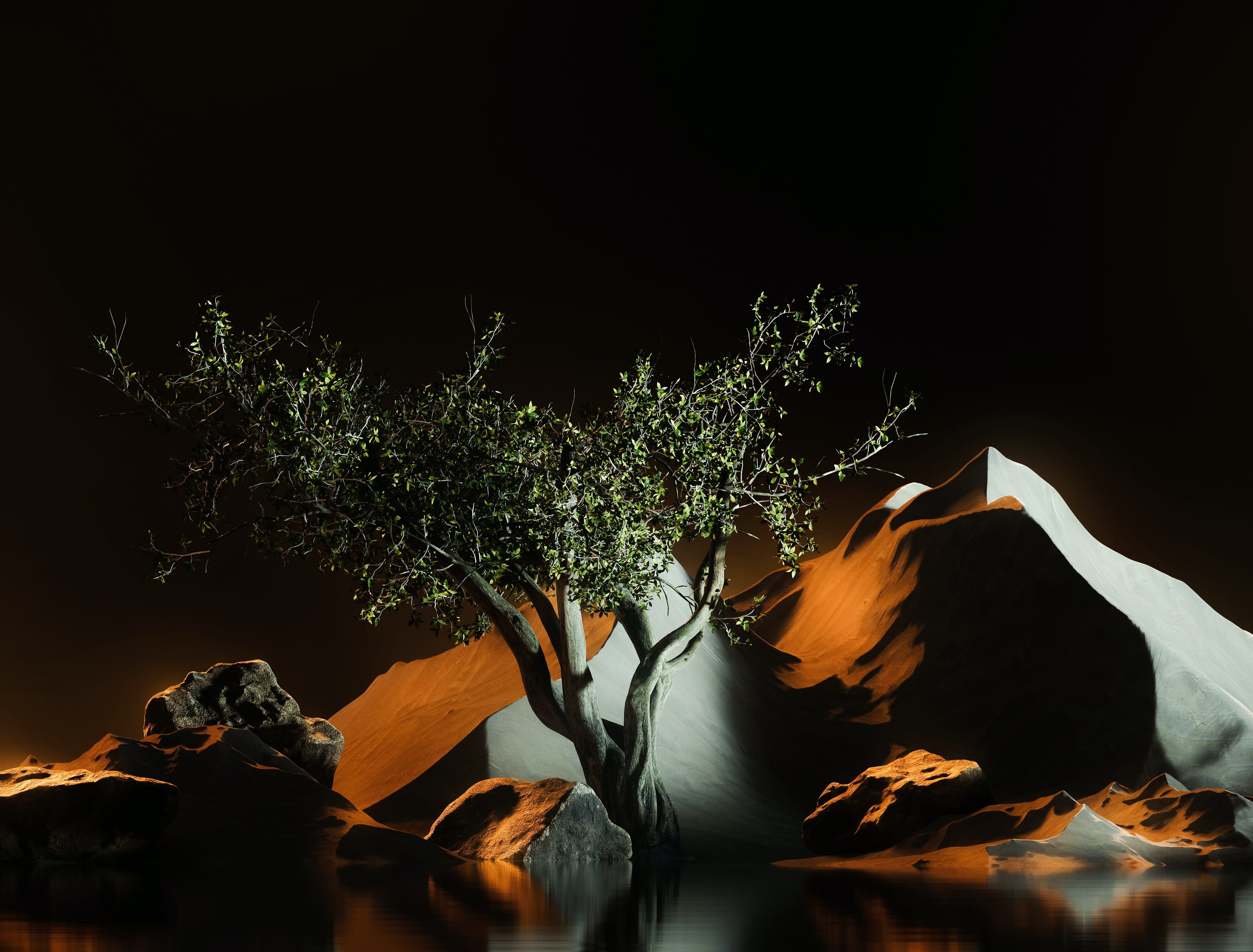 How to Make Your Signage or Tradeshow Booth More Sustainable