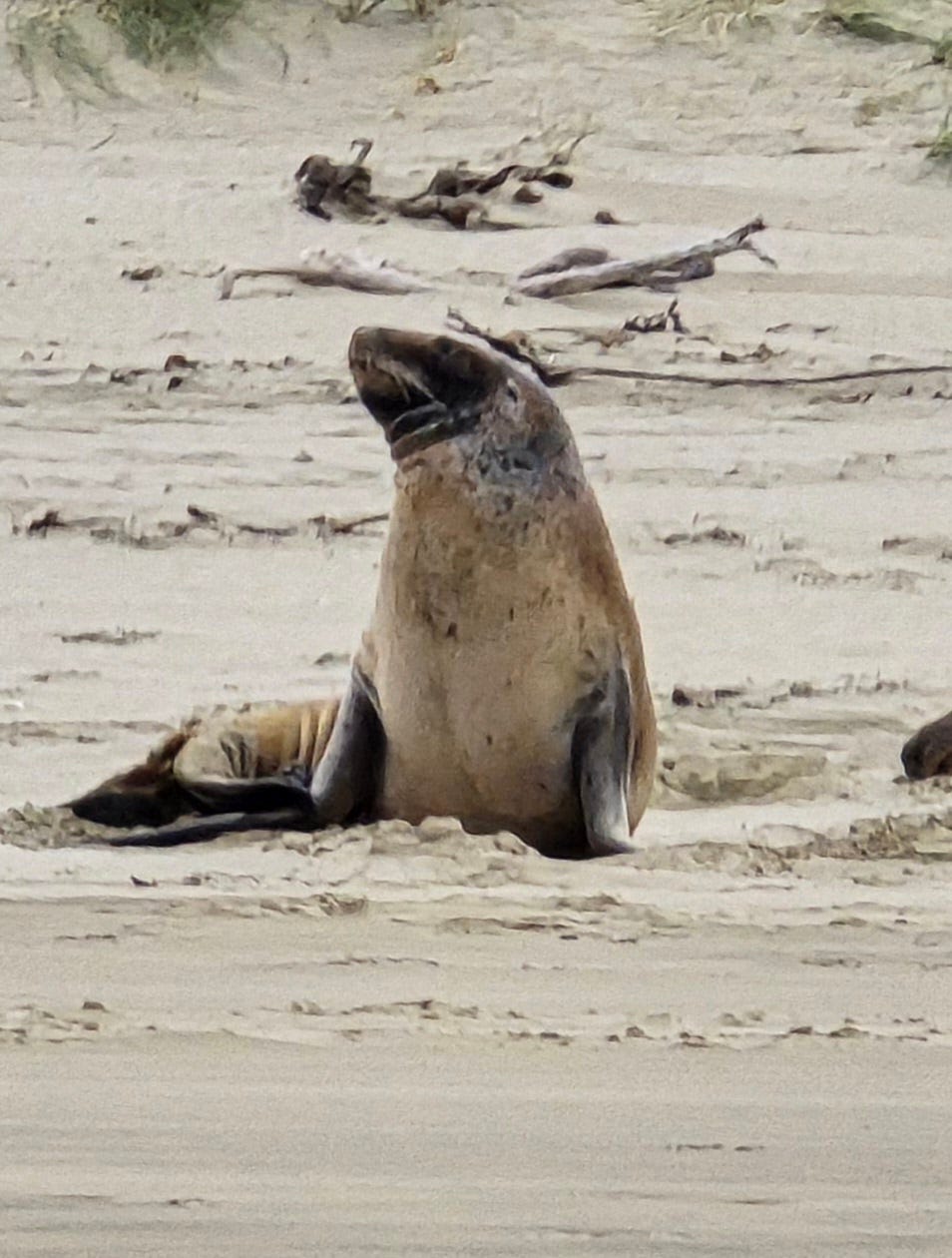 Exploring the Catlins - by Ron Stuart - Ron’s Substack