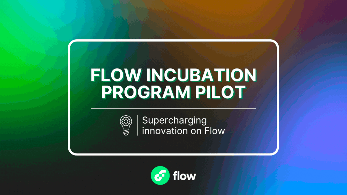 ⚡ Flowverse #87: Flow Incubation Program - by Flowverse 🌊