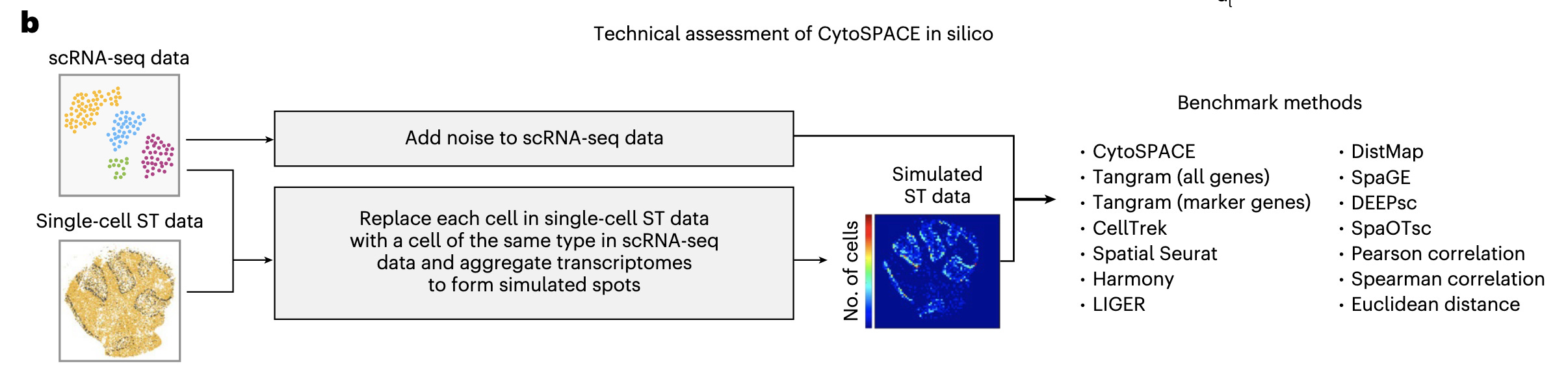 Single-Cell Spatial Biology with CytoSPACE Method