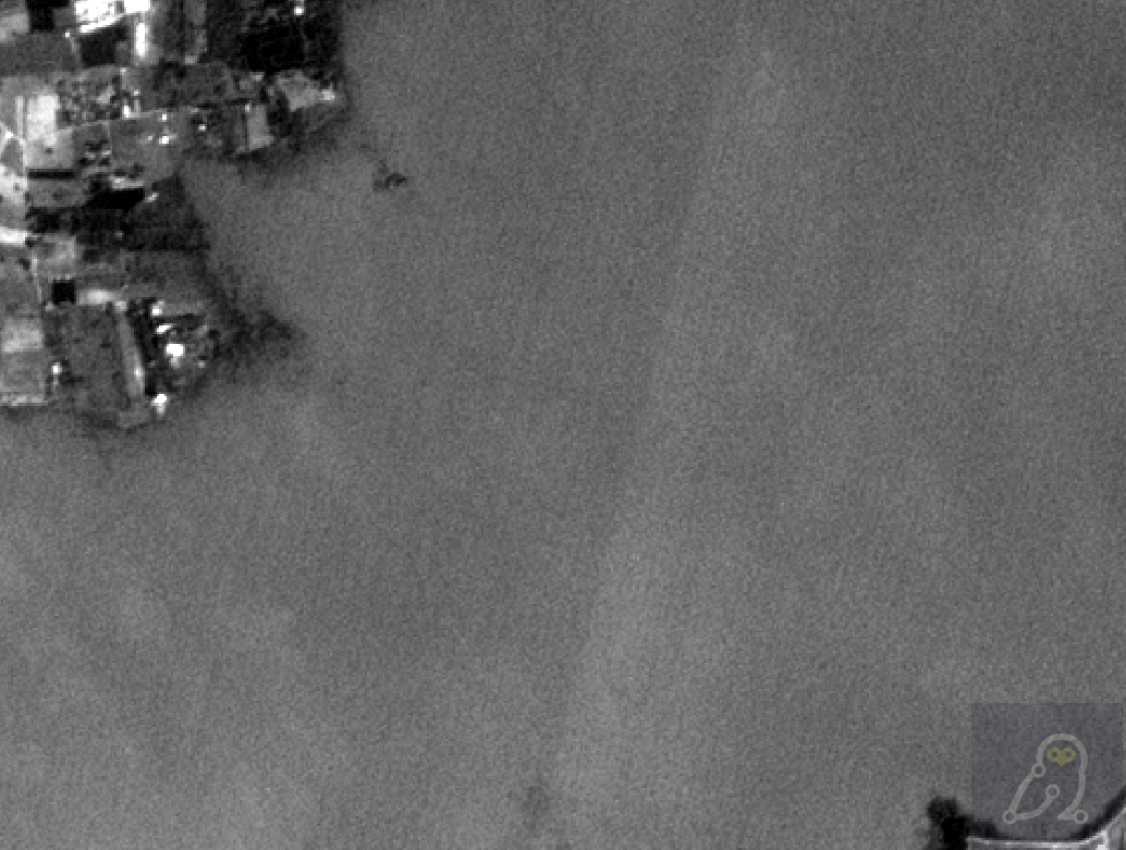 Exploration of the brand new LISS4 data release and opportunities