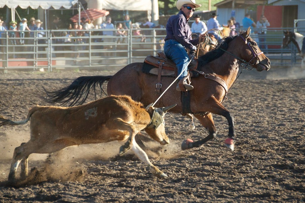 The Glories of the American Rodeo - by Clare Coffey