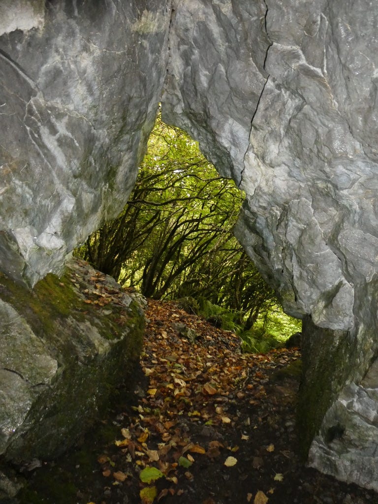 Waters of Colmán - by Paul Kingsnorth