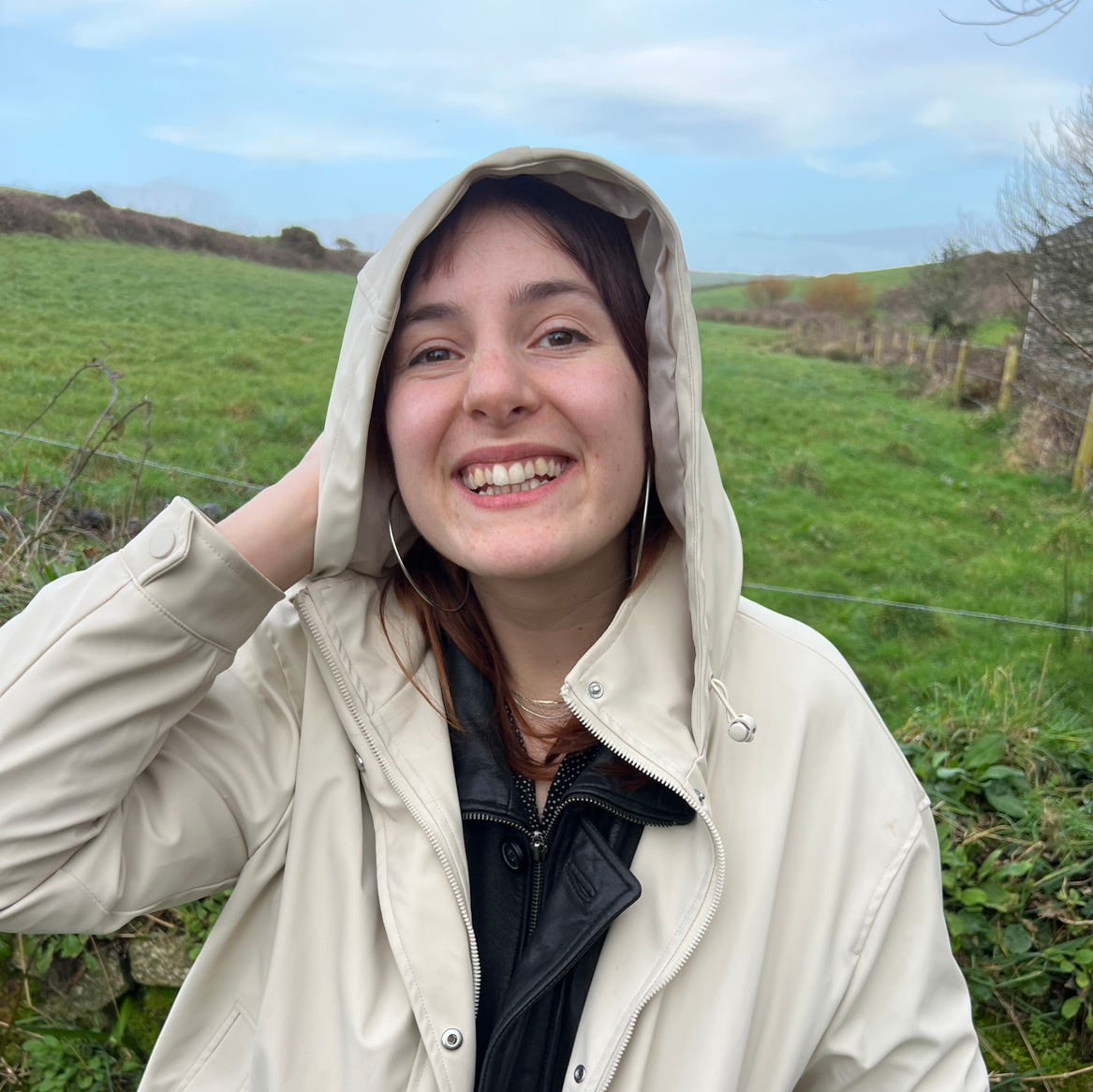 Lamorna Lewis | Substack