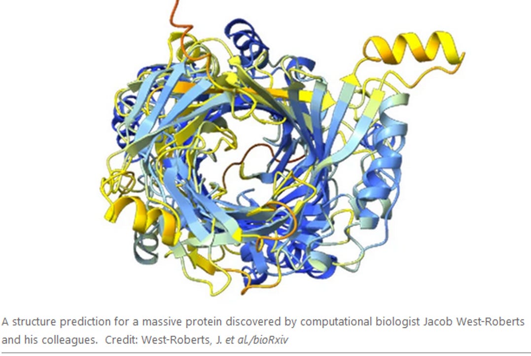 The world’s largest proteins? These mega-molecules turn bacteria into ...
