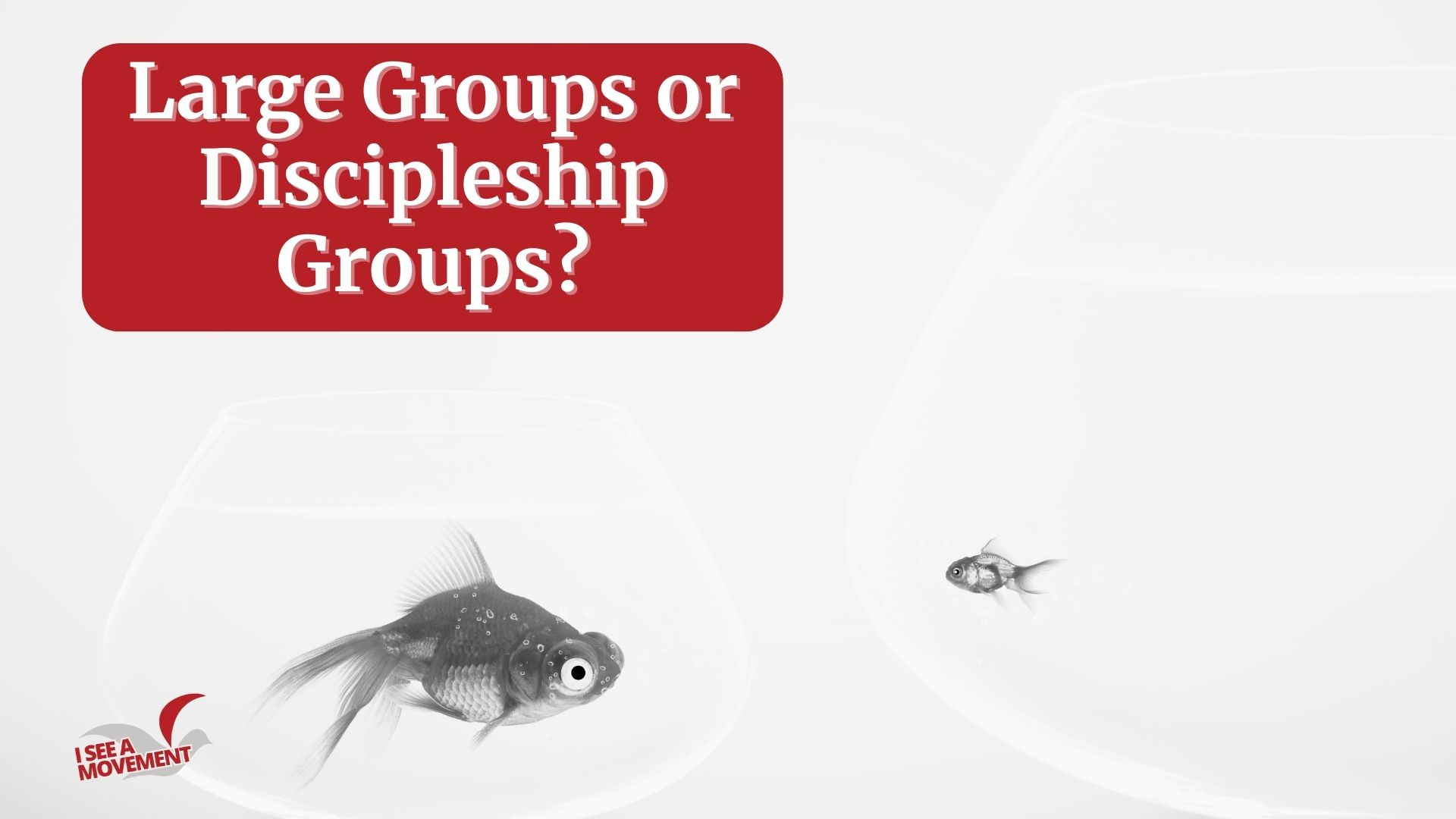 Should a Parish Focus on Large Groups or Discipleship Groups?
