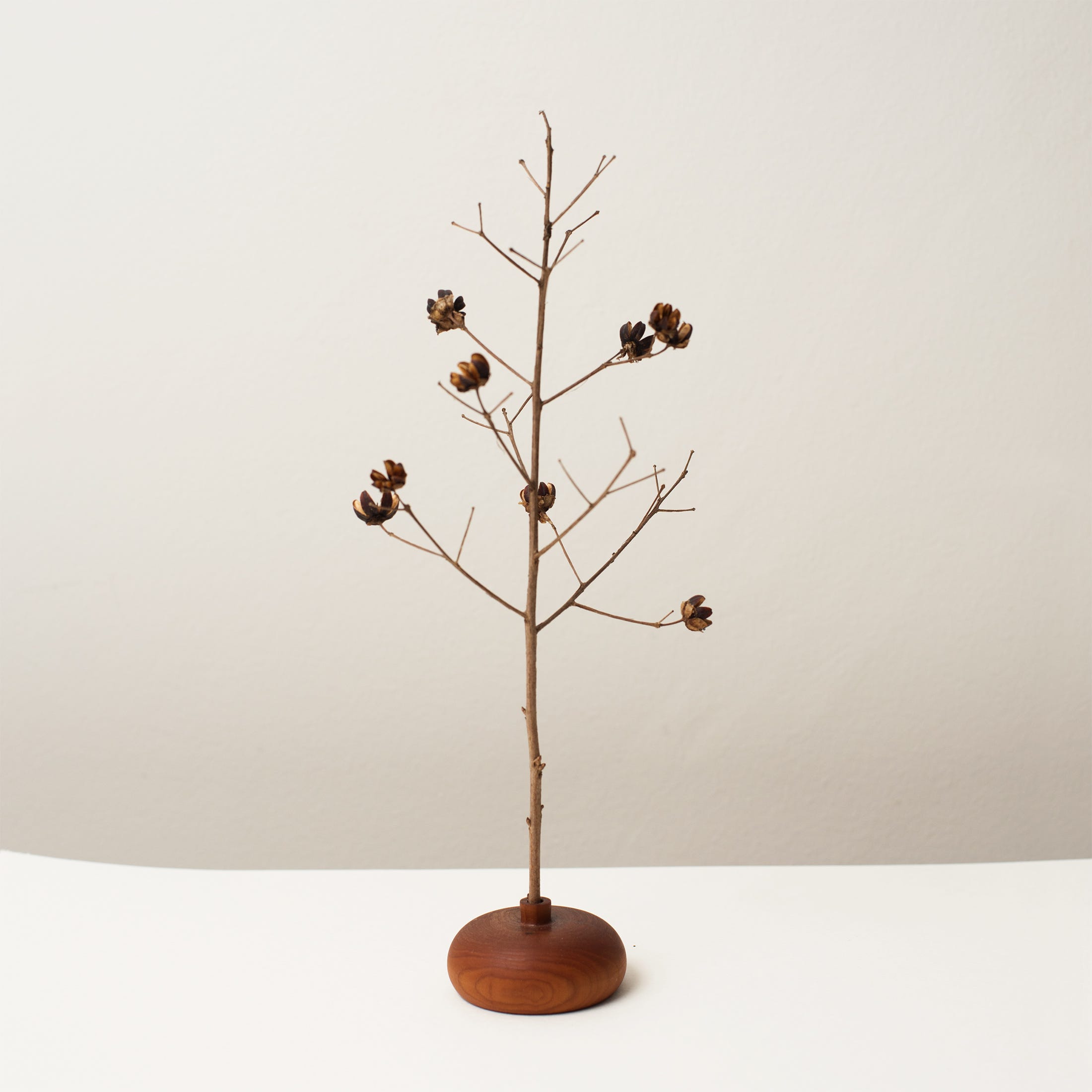 January Newsletter - Acorn Wood Shop