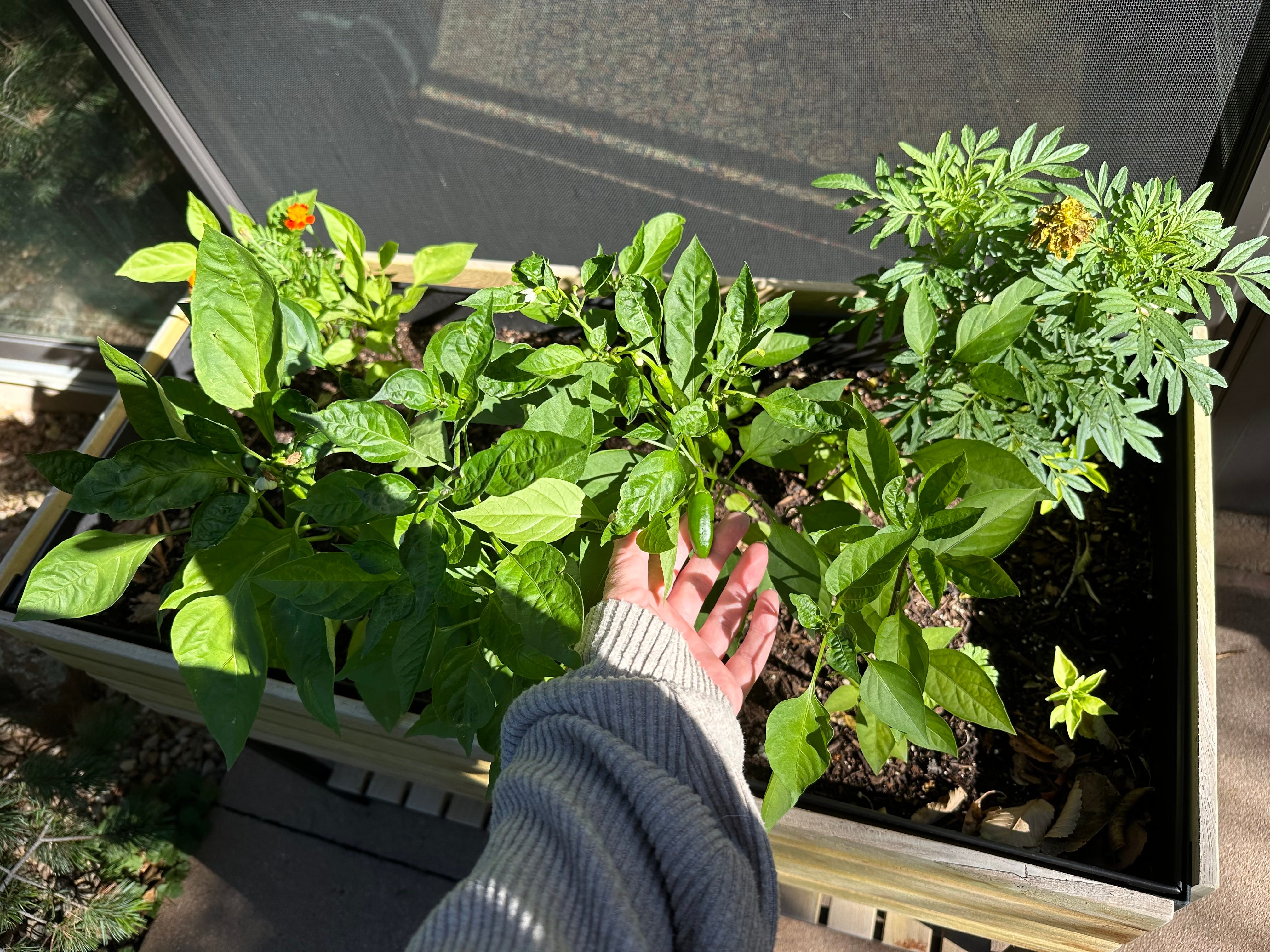 Danielle Morrill – I can see the future, because I live in it today.