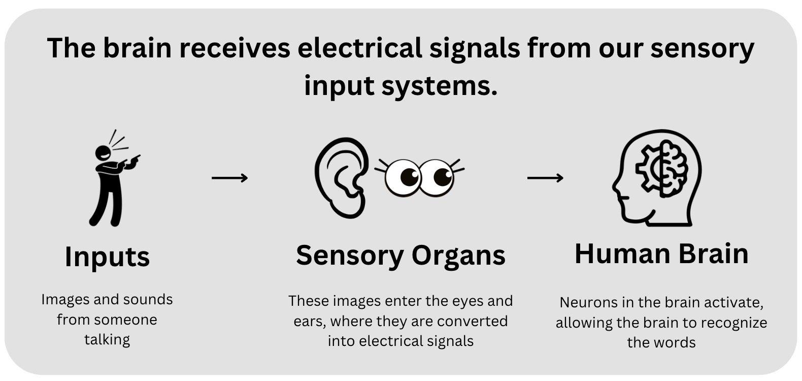 Everything you need to know about AI (for PMs and builders)