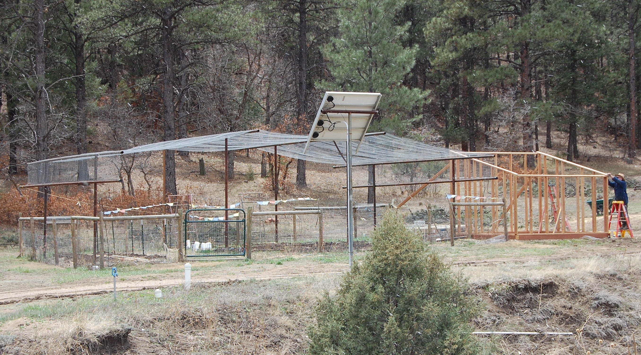 Why I Love the Viking - by Sue - Domelandia