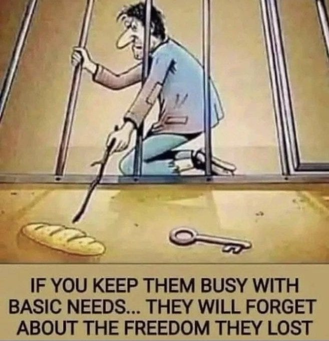 A Mix Of Memes To Mess With Your Mind - by James Filbird