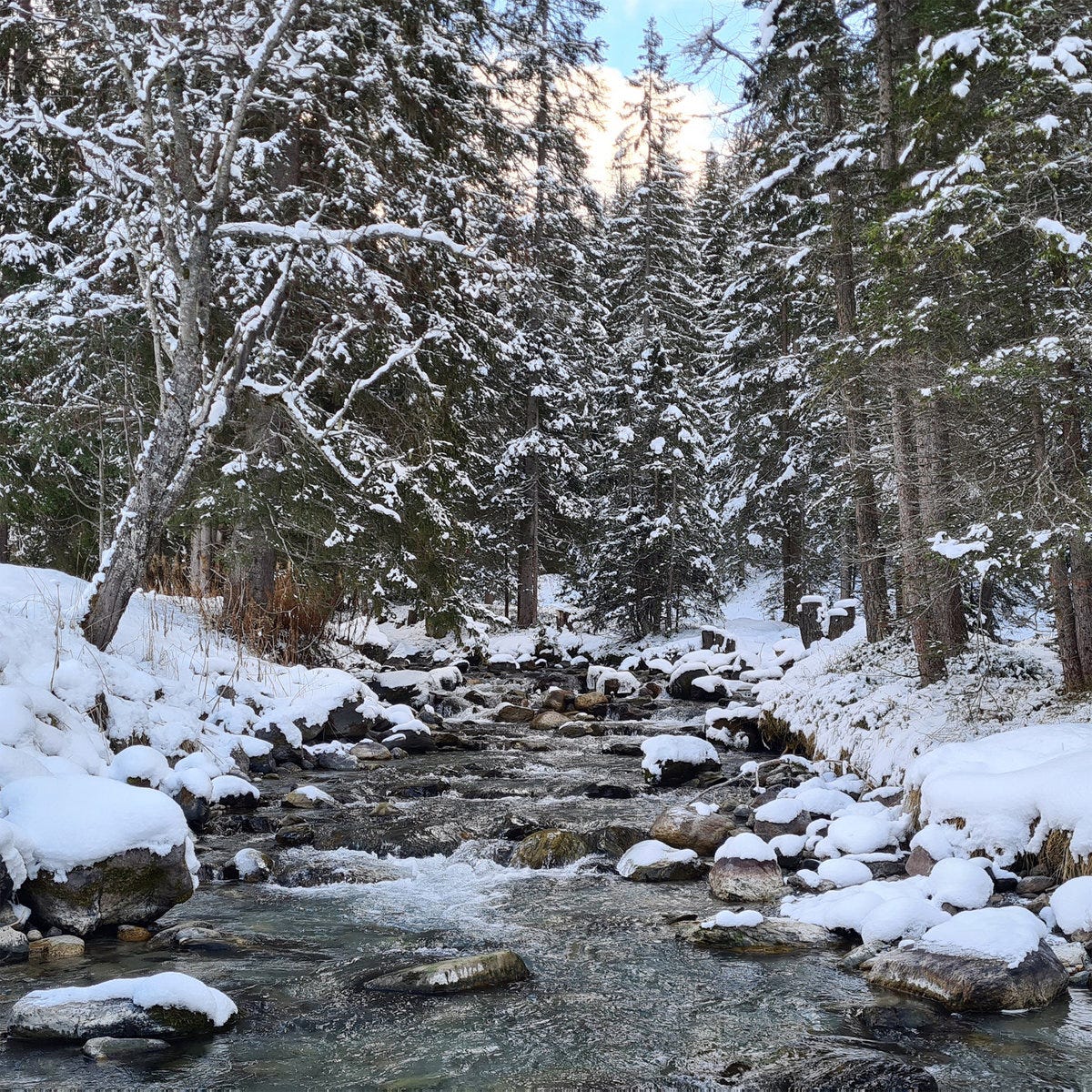 La fonction sommative de l'évaluation