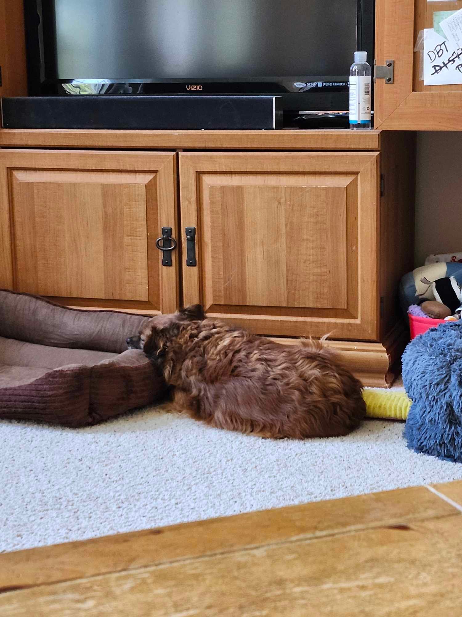 Captain Darling's World Premiere!! - Kate Isabel Foley