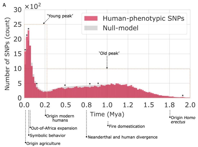 Women evolved first, science and mythology agree