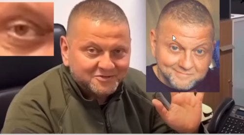 What Happened to Ukraine's General Valerii Zaluzhny?