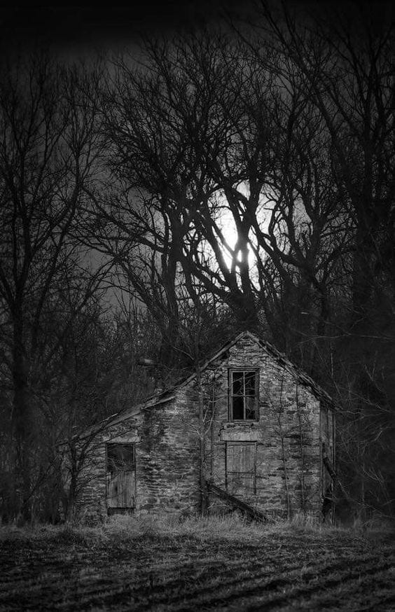 welcome to the shed! - by timothy edaki - edaki's space