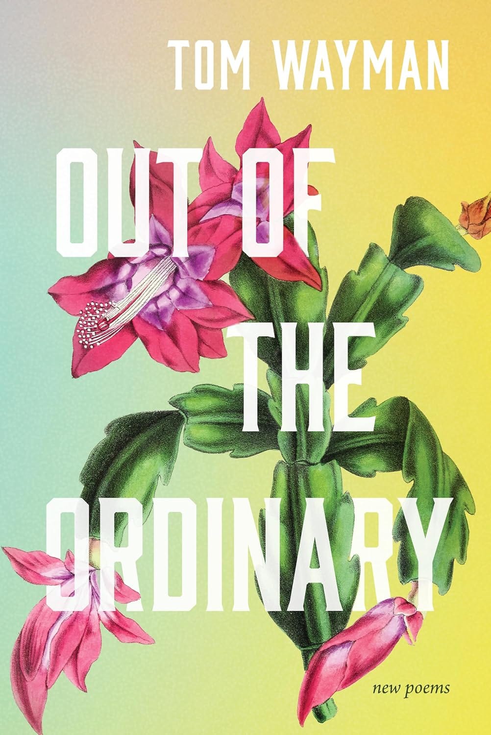 Out of the Ordinary: New Poems by Tom Wayman Lives Up to Its Title