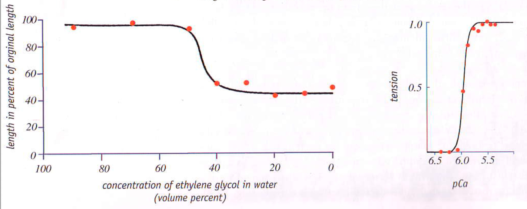 Where Does The Body's Vitality Come From?