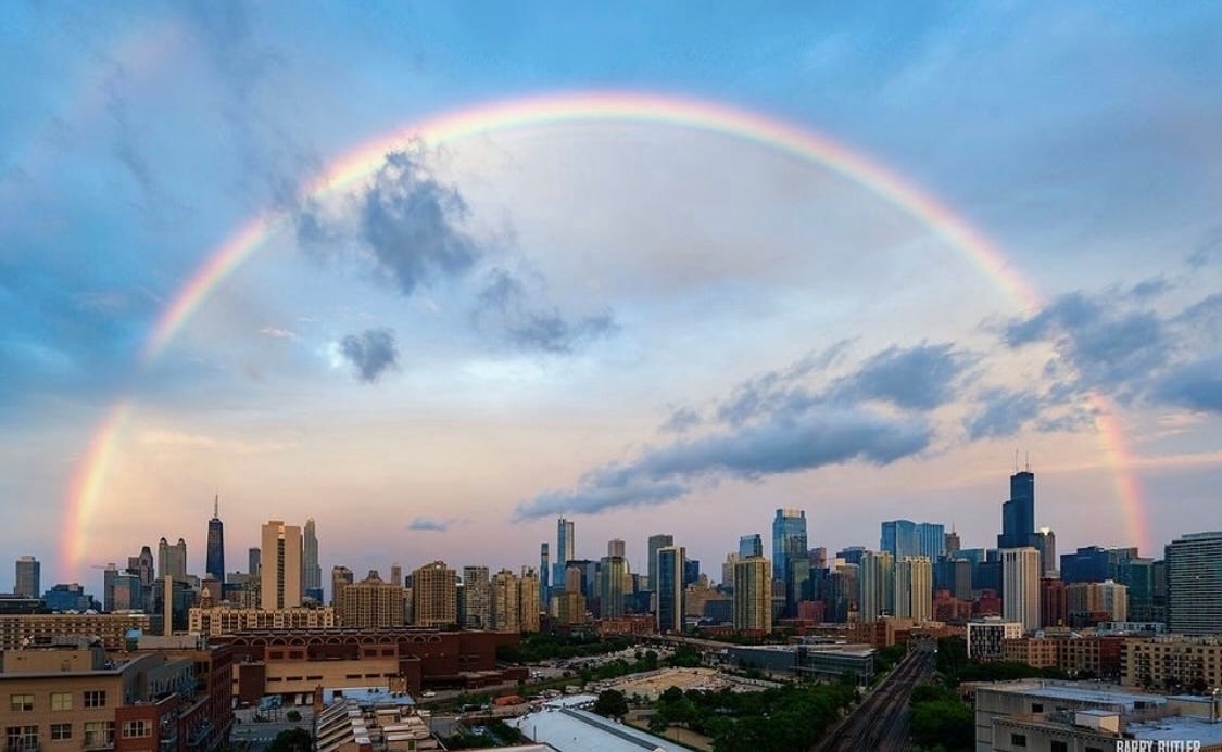 What Did Dorothy Eat? - by Jolene Handy