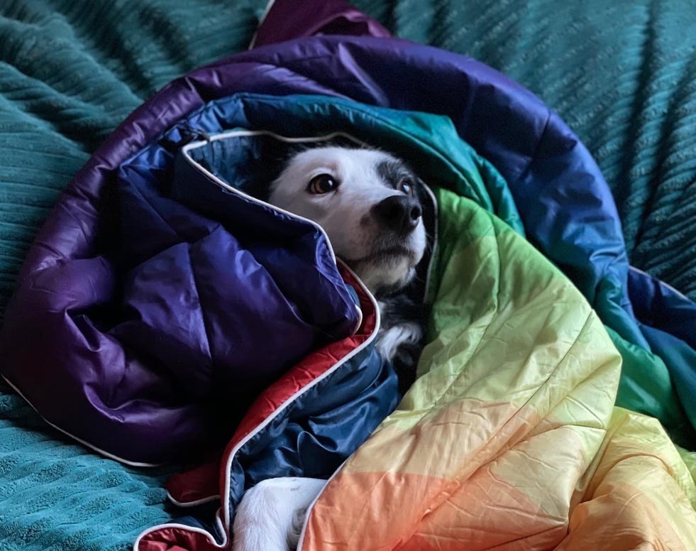 Late Bloomer: Let's Talk About Comphet - by Jenna Woginrich