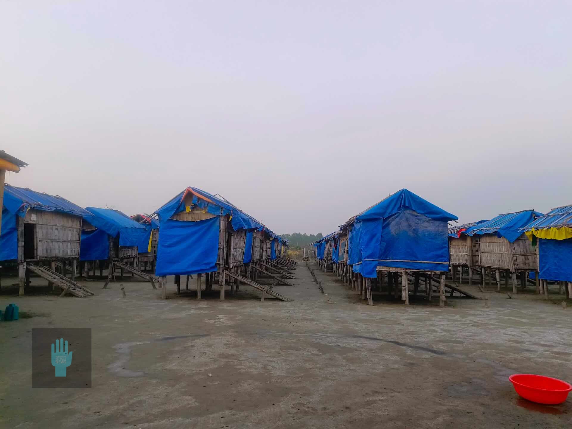 Goat and Sheep Farm, Bhasan Char - by Mijanur Rahman